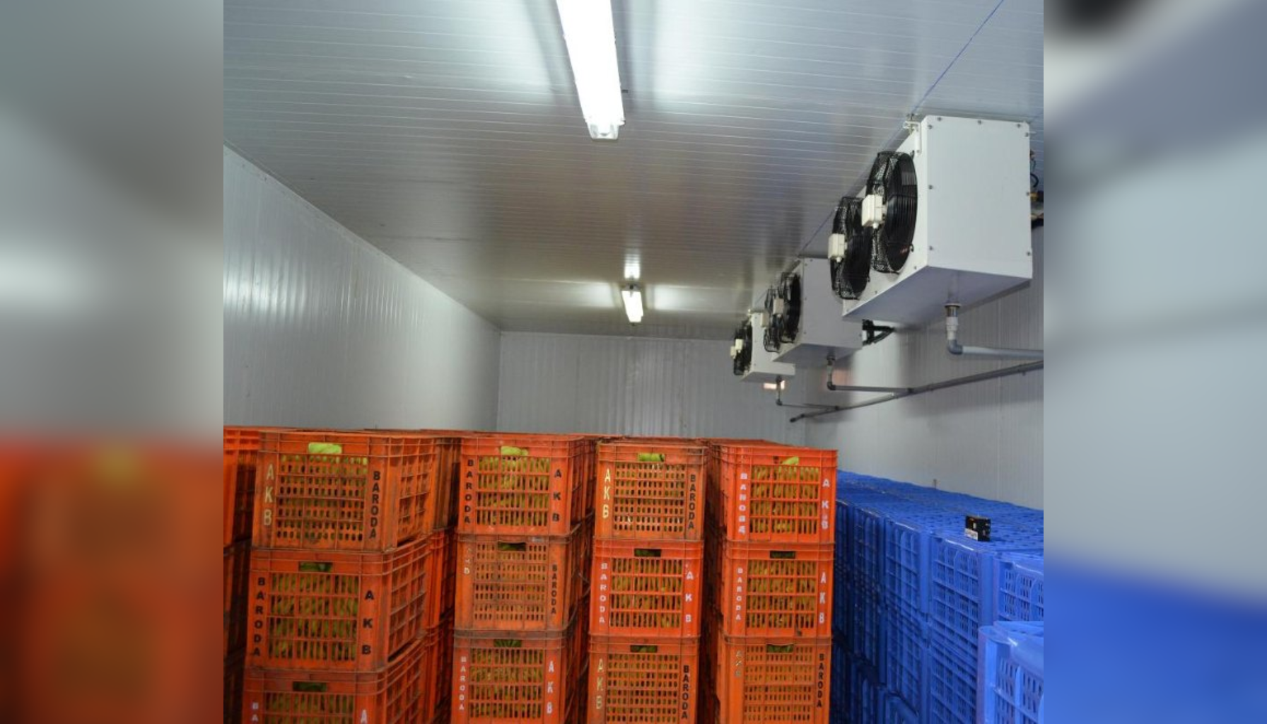 PUF Panels for Potato Cold Storage | Long-term Freshness!